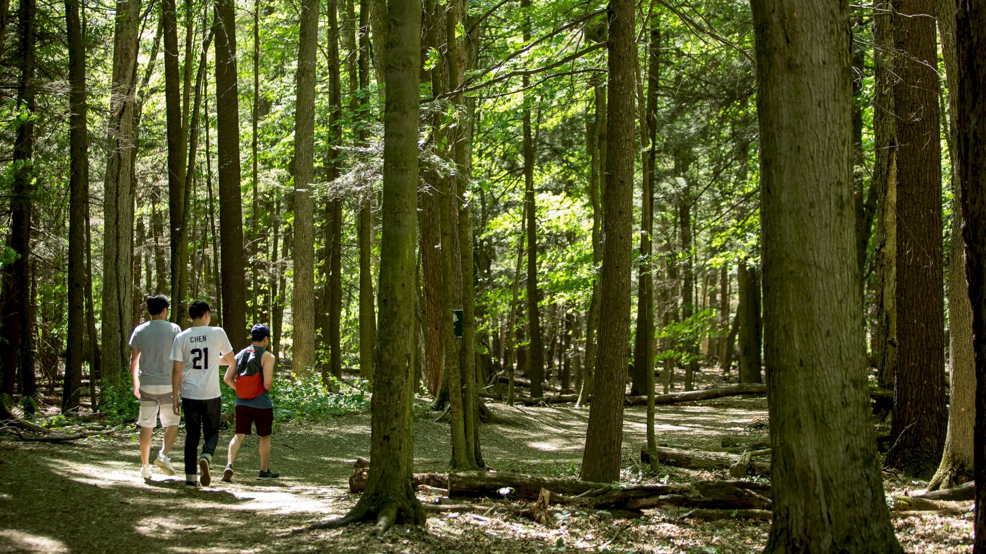 Grand Toronto | Le parc national urbain de la Rouge: «Une véritable ...
