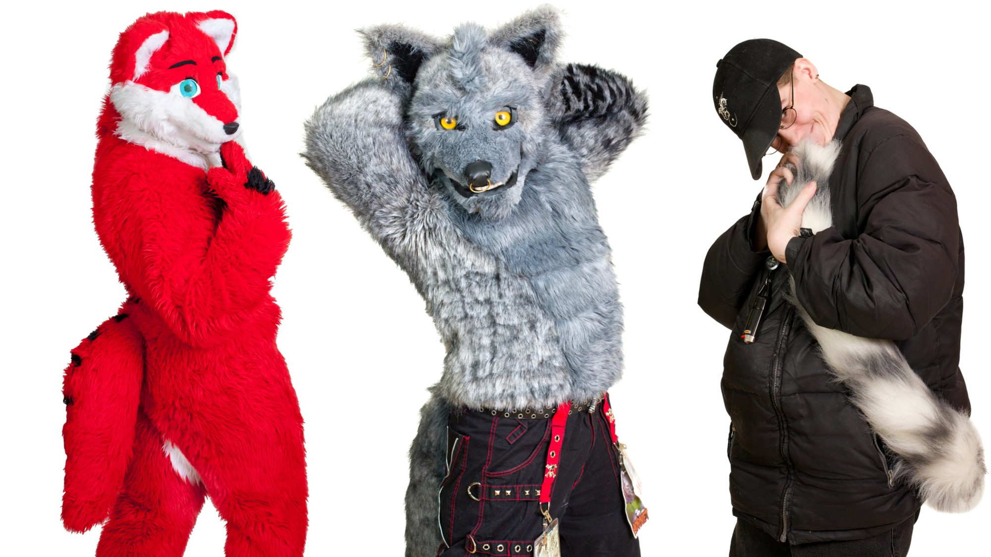 Chronique des réseaux sociaux | Les «furries»: ces ados qui adoptent ...