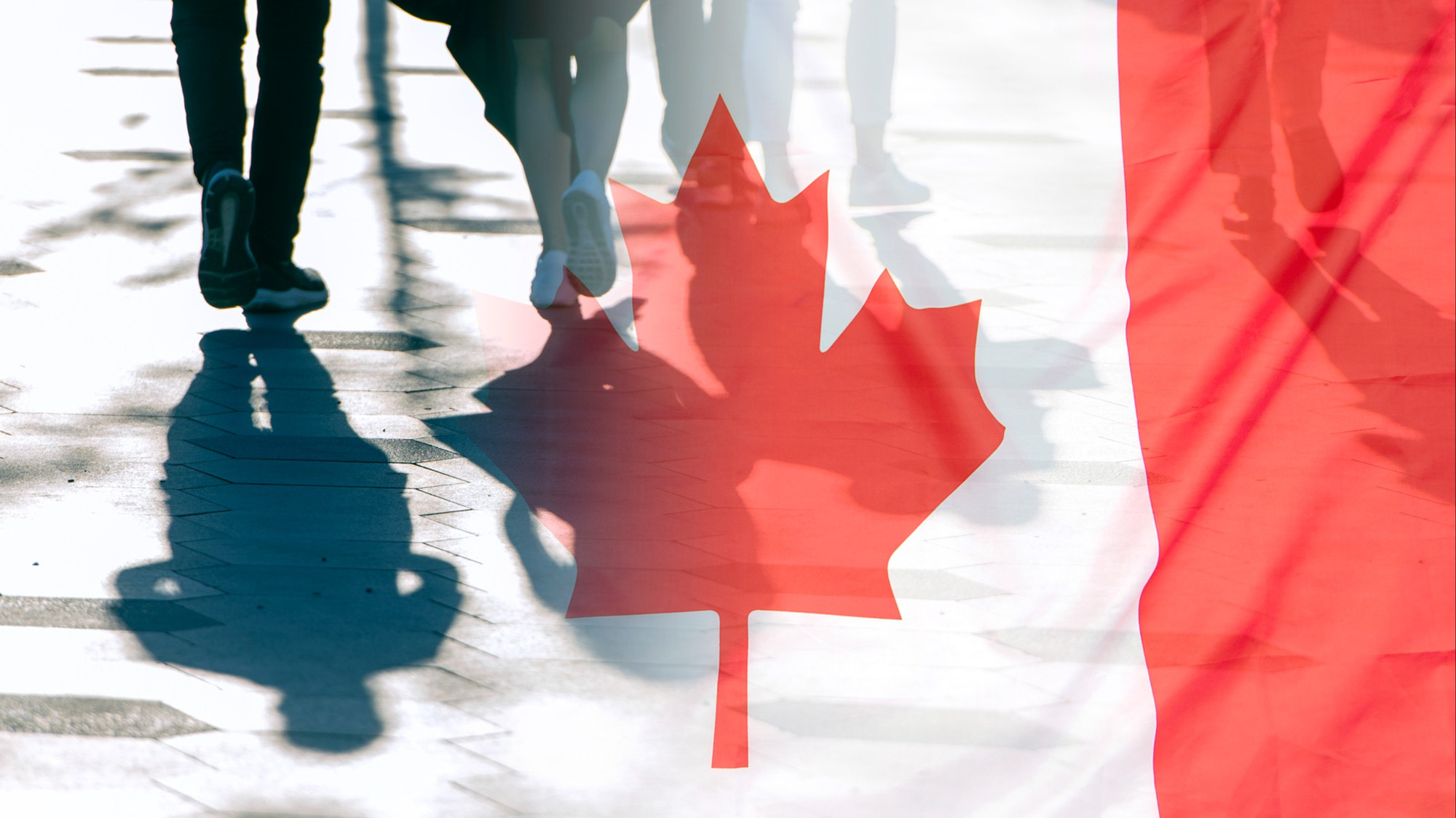 Revue de presse | Francophones : il serait plus facile d'immigrer hors ...