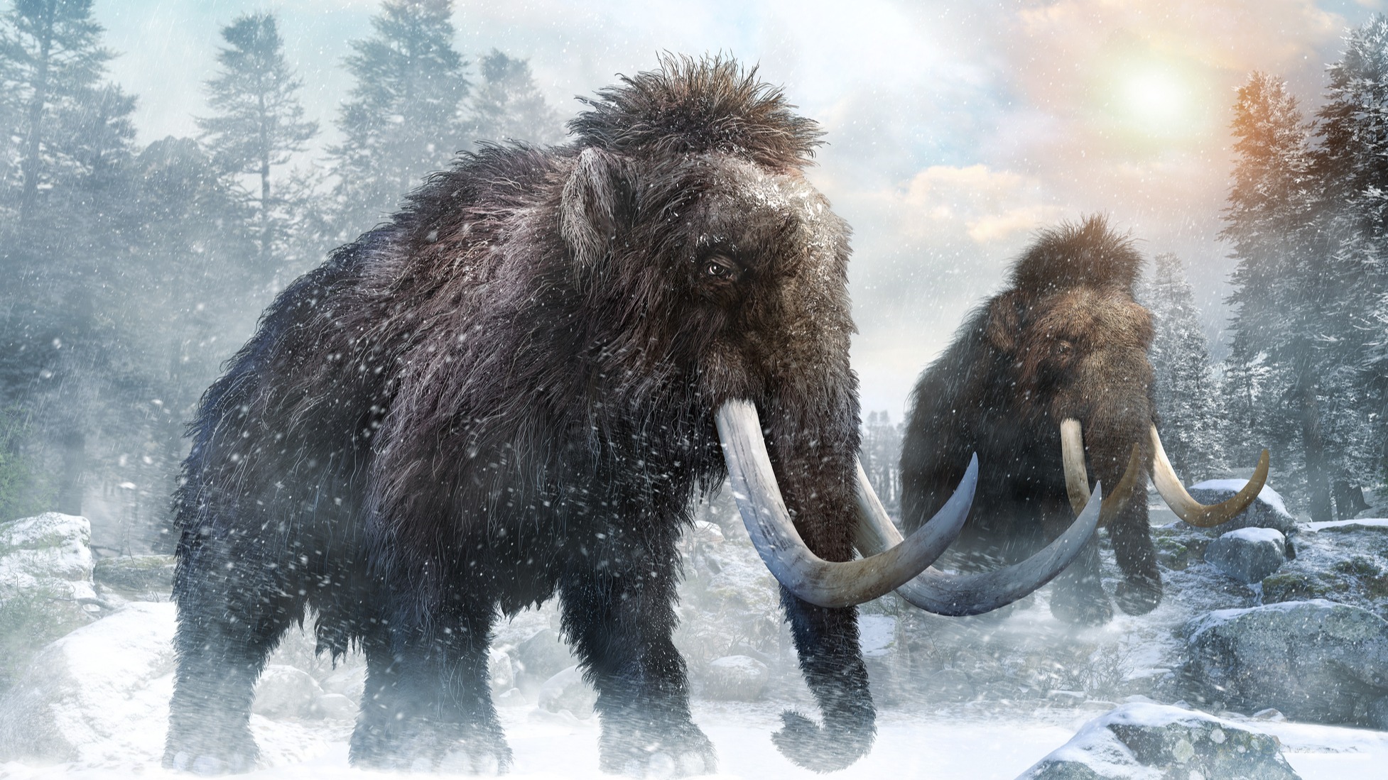 Chronique biologie | Les superprédateurs disparus de la mégafaune nord ...