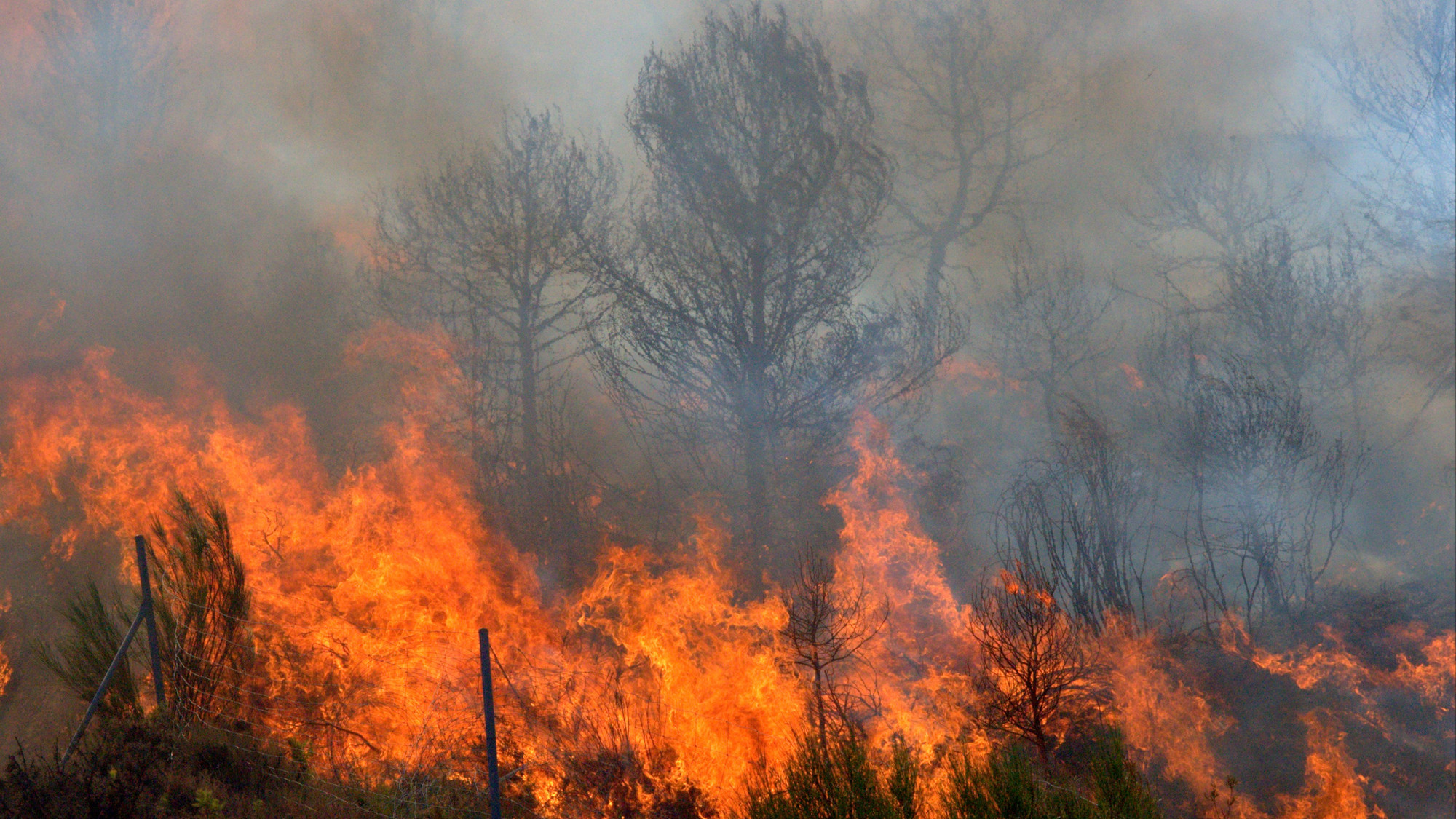 Nord-du-Québec | Chapais: 500 résidences évacuées en raison d'un feu de ...
