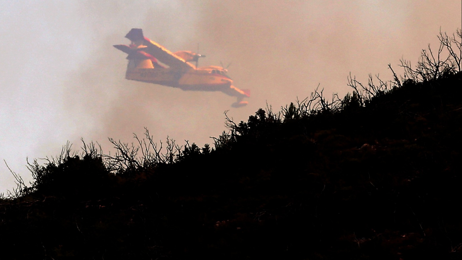Elle a travaillé trois ans pour la SOPFEU | «J'ai pu rentrer sur le feu ...