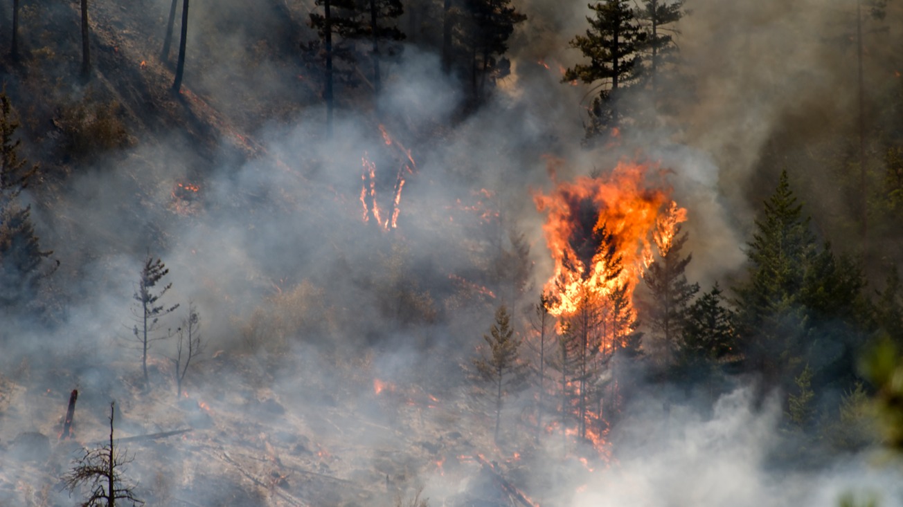 Feux de forêt au Québec | Le portrait global de la situation — 106.9 ...