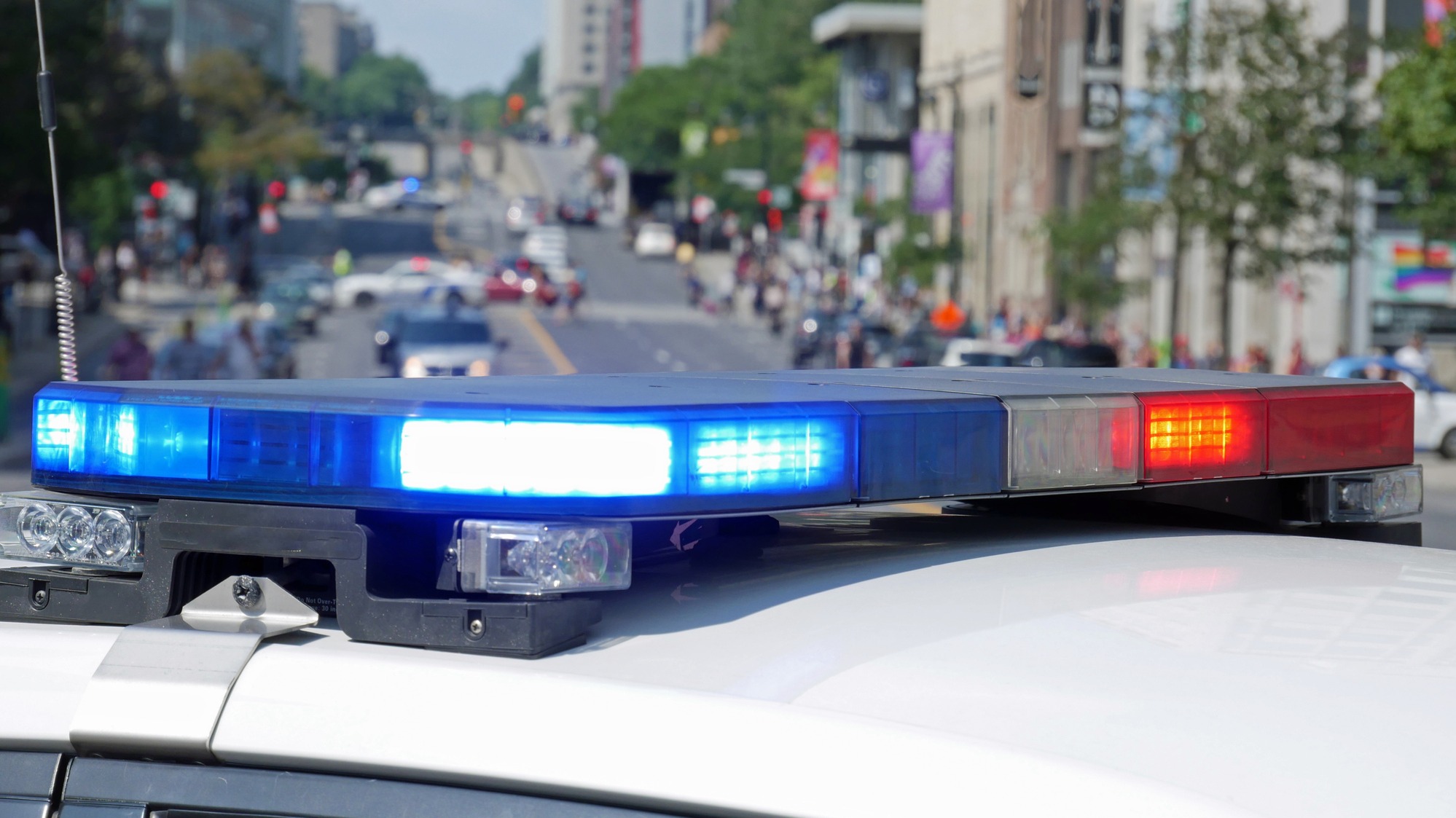 Crime organisé | Grand Prix: «Pour nous, c'est une mine d'or d ...