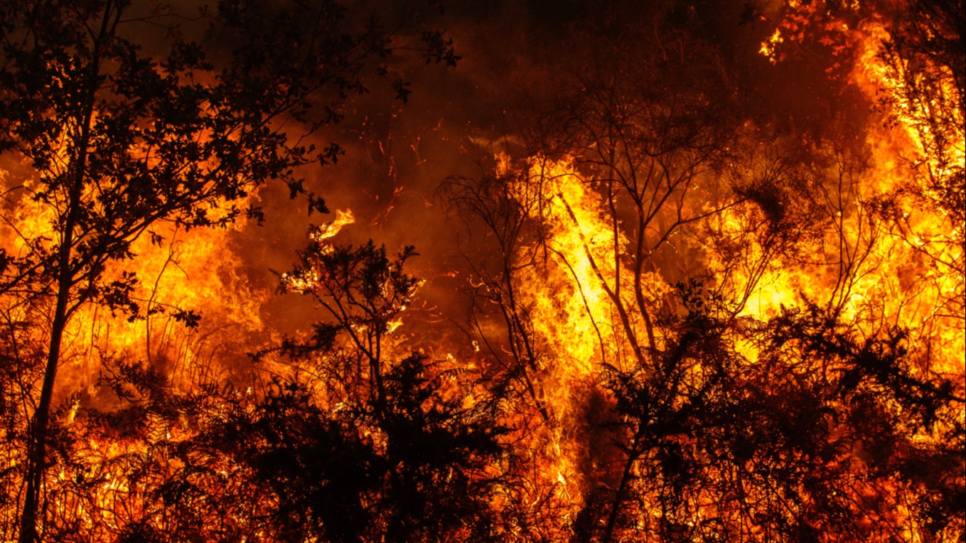 Feux de forêt | Les résidents de Lebel-sur-Quévillon ont à nouveau reçu ...
