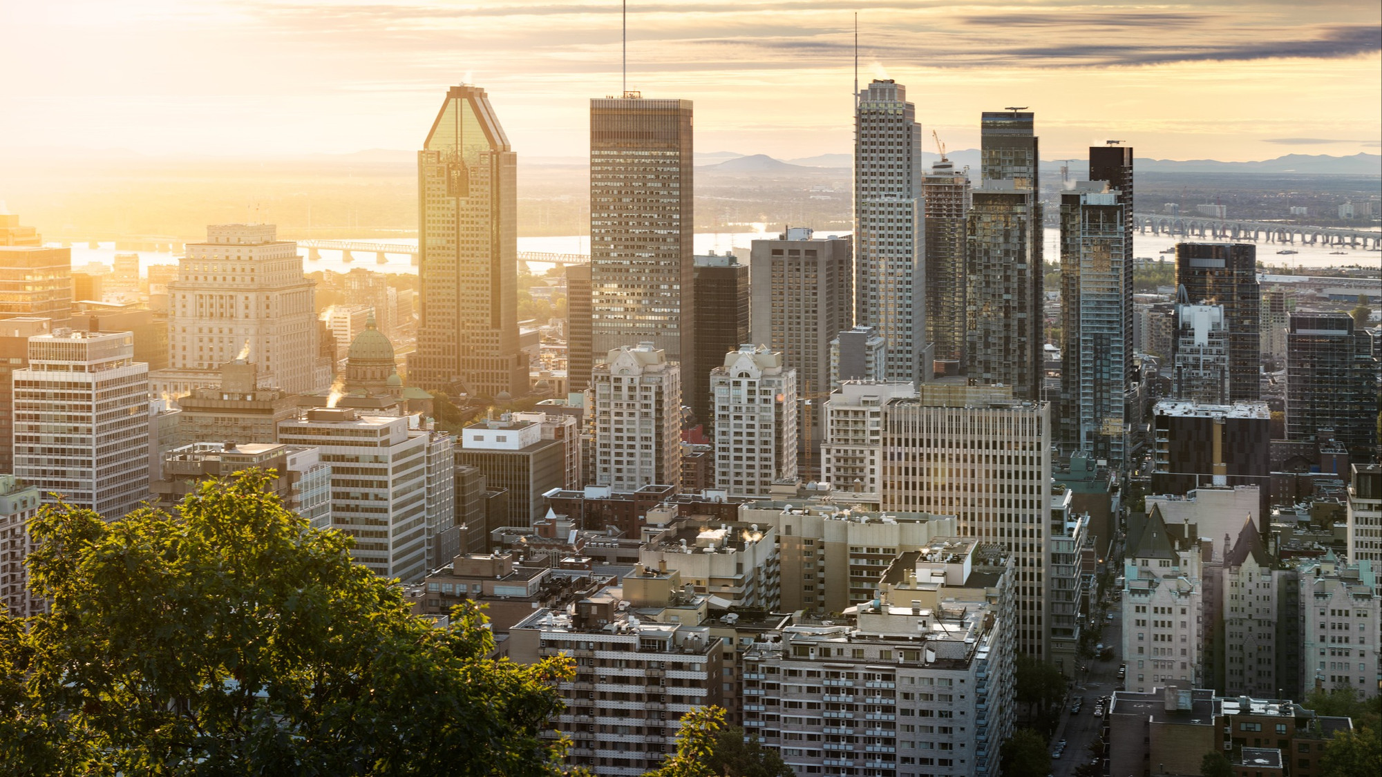 Inoccupation dans les tours du centre-ville | Le centre-ville est-il en ...