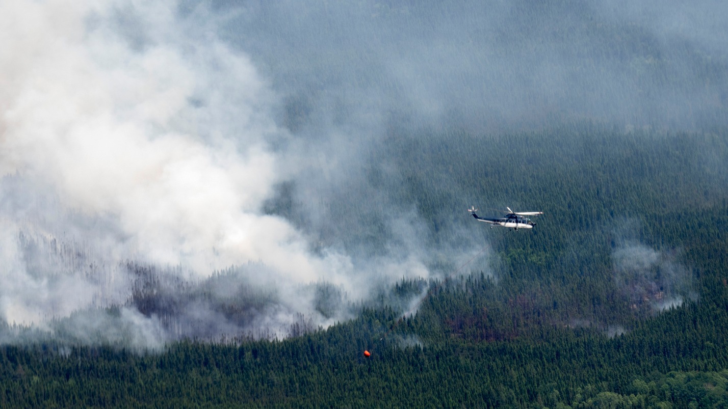Feux de forêt au pays | «Il s'est brûlé l'équivalent du Portugal au ...