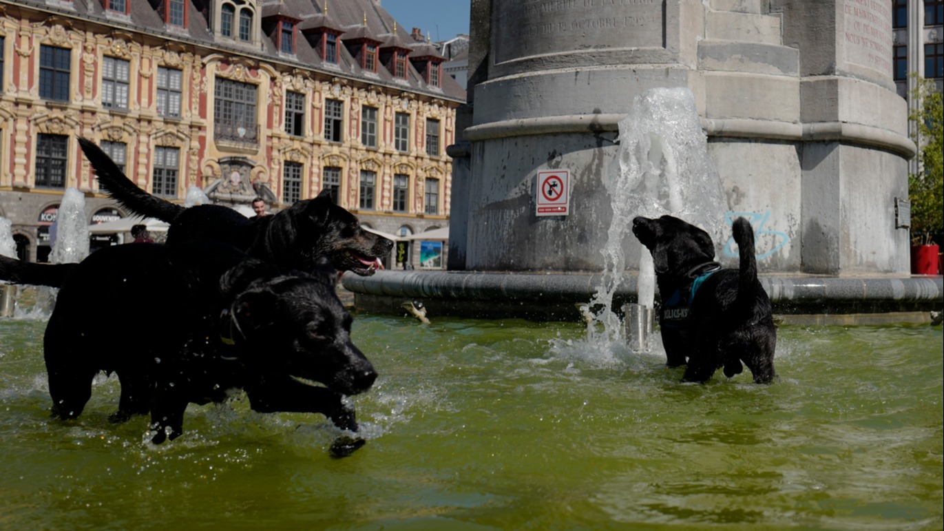 Canicules mondiales: «C'est vraiment généralisé» -Christopher McCray ...