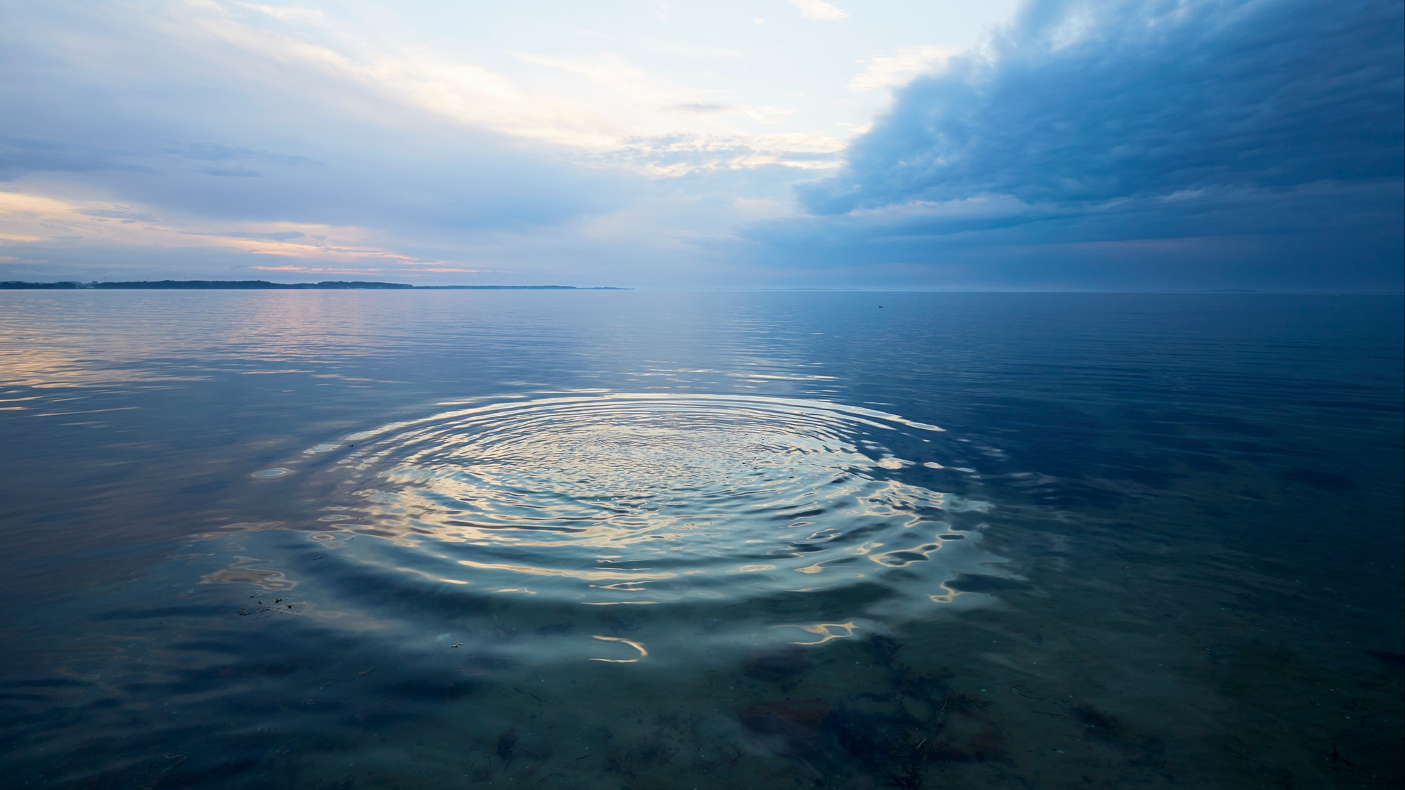 Autour de la piscine | Cinq experts : cinq points de vue sur l'impact ...