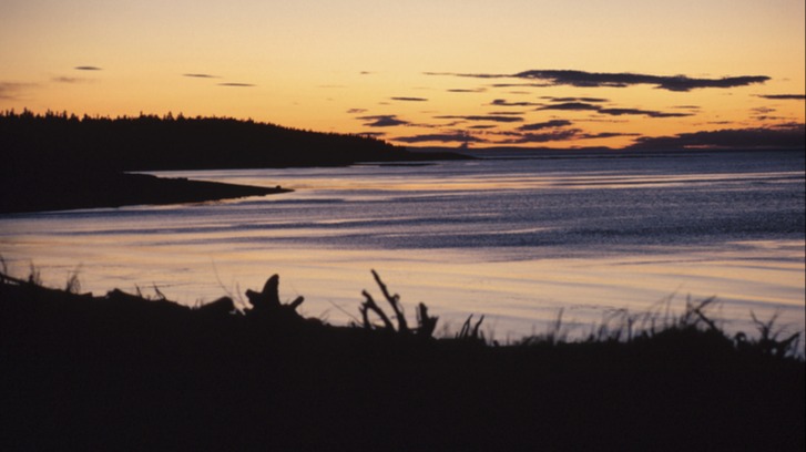 L'Île d'Anticosti ajoutée au patrimoine mondial de l’UNESCO — 98.5 Montréal
