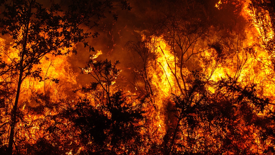 Chibougamau évacuée l'été dernier | Brian Paré plaide coupable d’avoir ...