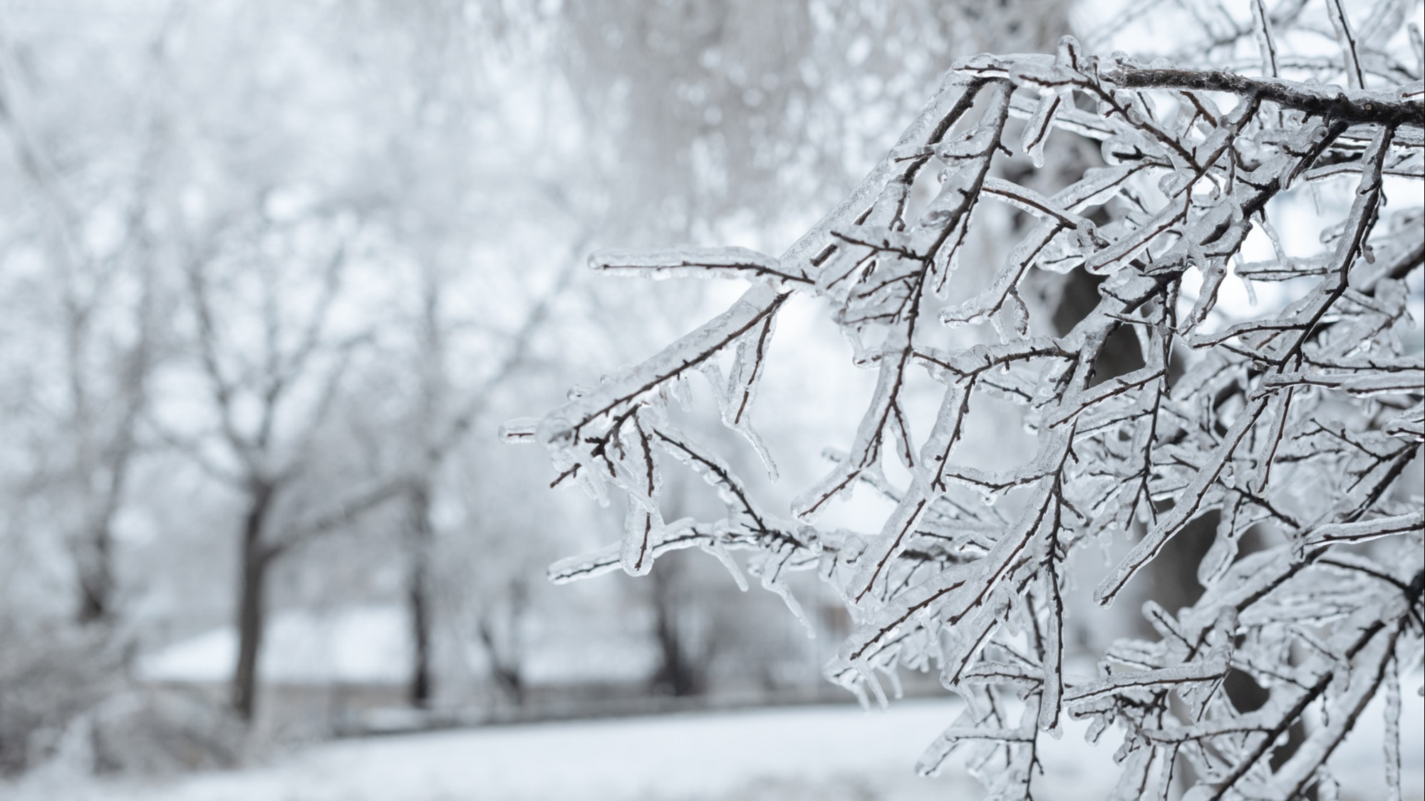 Verglas: Urgence Santé a reçu beaucoup d’appels ce matin — 98.5 Montréal