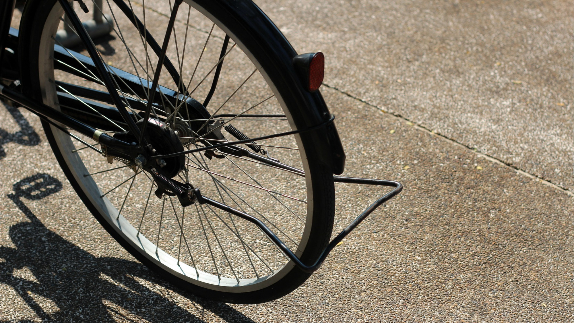 Pourquoi tant de cyclistes se comportent-ils comme des casse-cous? — 98 ...