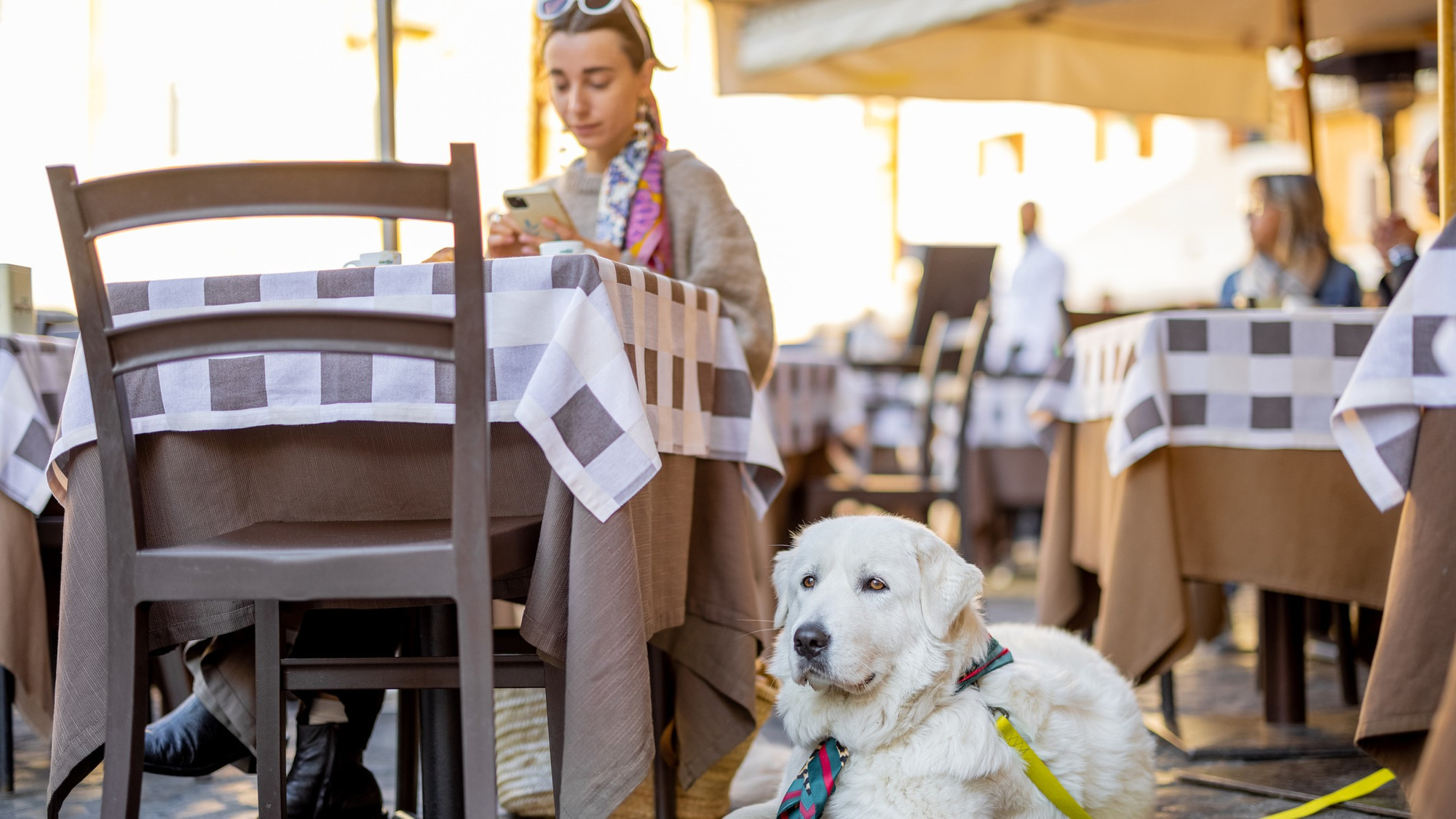 Au Québec | Des restaurateurs demandent un assouplissement de la ...