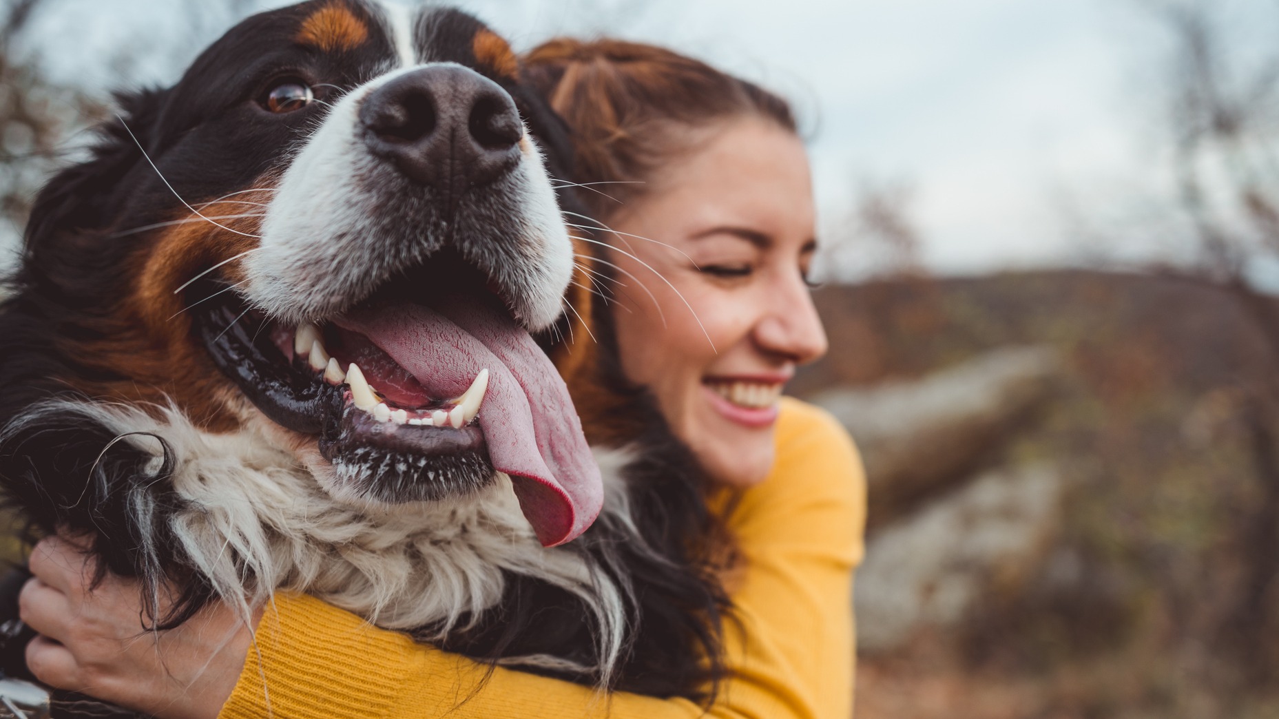 Le cancer est-il toujours la maladie no 1 chez les chiens? — 98.5 Montréal
