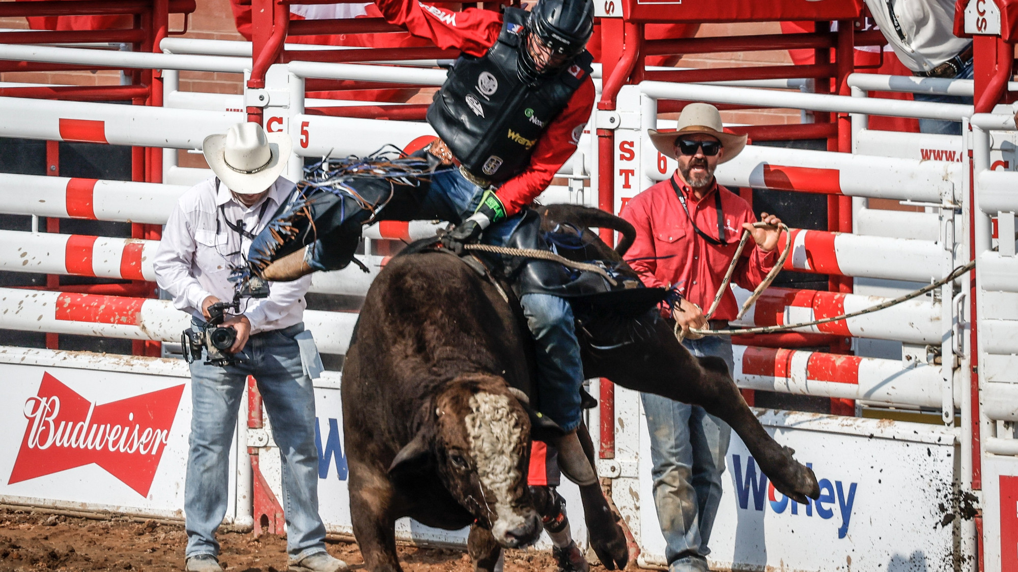 À Calgary | «C'est l'un des plus vieux et prestigieux rodéos sur la ...