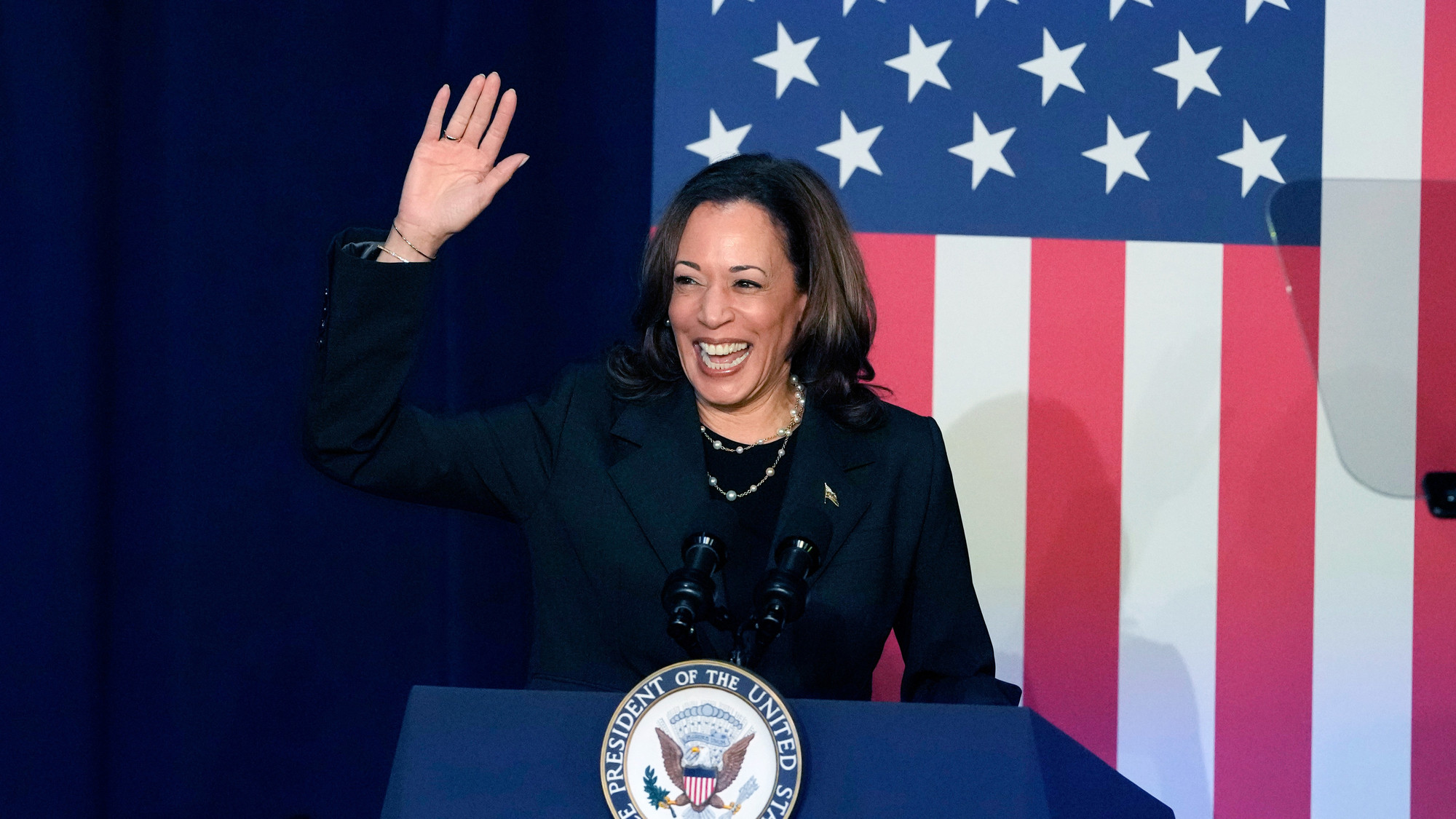 La voie sera-t-elle libre? | Un fort appui à Kamala Harris? «Les pions ...