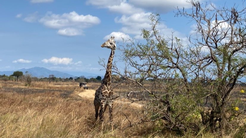 Bénédicte Lebel parle de son séjour à Zanzibar | Voyage en solo: «Tu ...