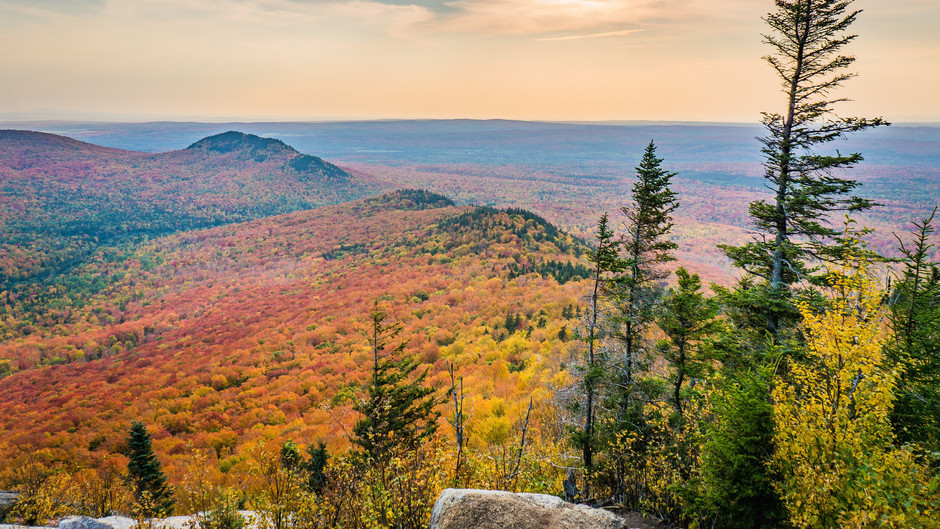 You can find the most beautiful fall colours with this interactive map ...
