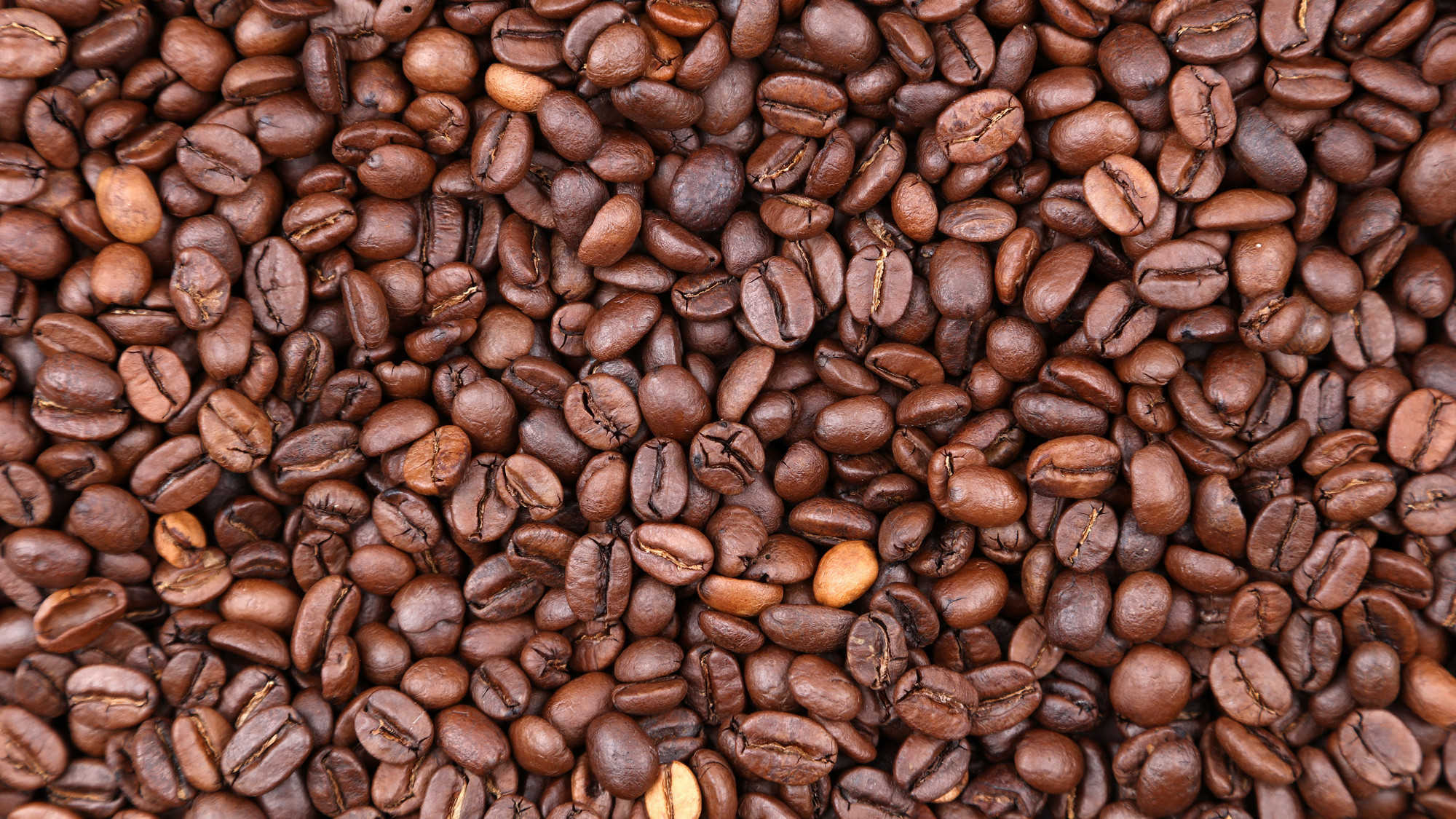 Les PME de chez nous | Barista : «On a toujours voulu démocratiser ...