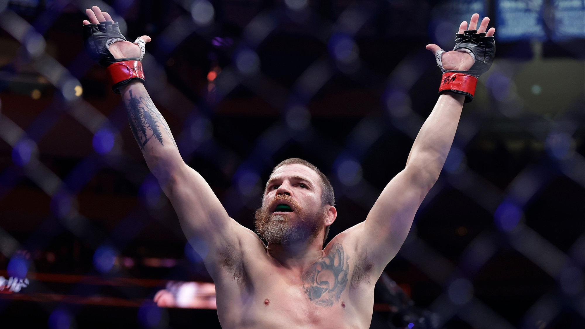 Au Madison Square Garden | Jim Miller réclame justice pour l'écureuil ...