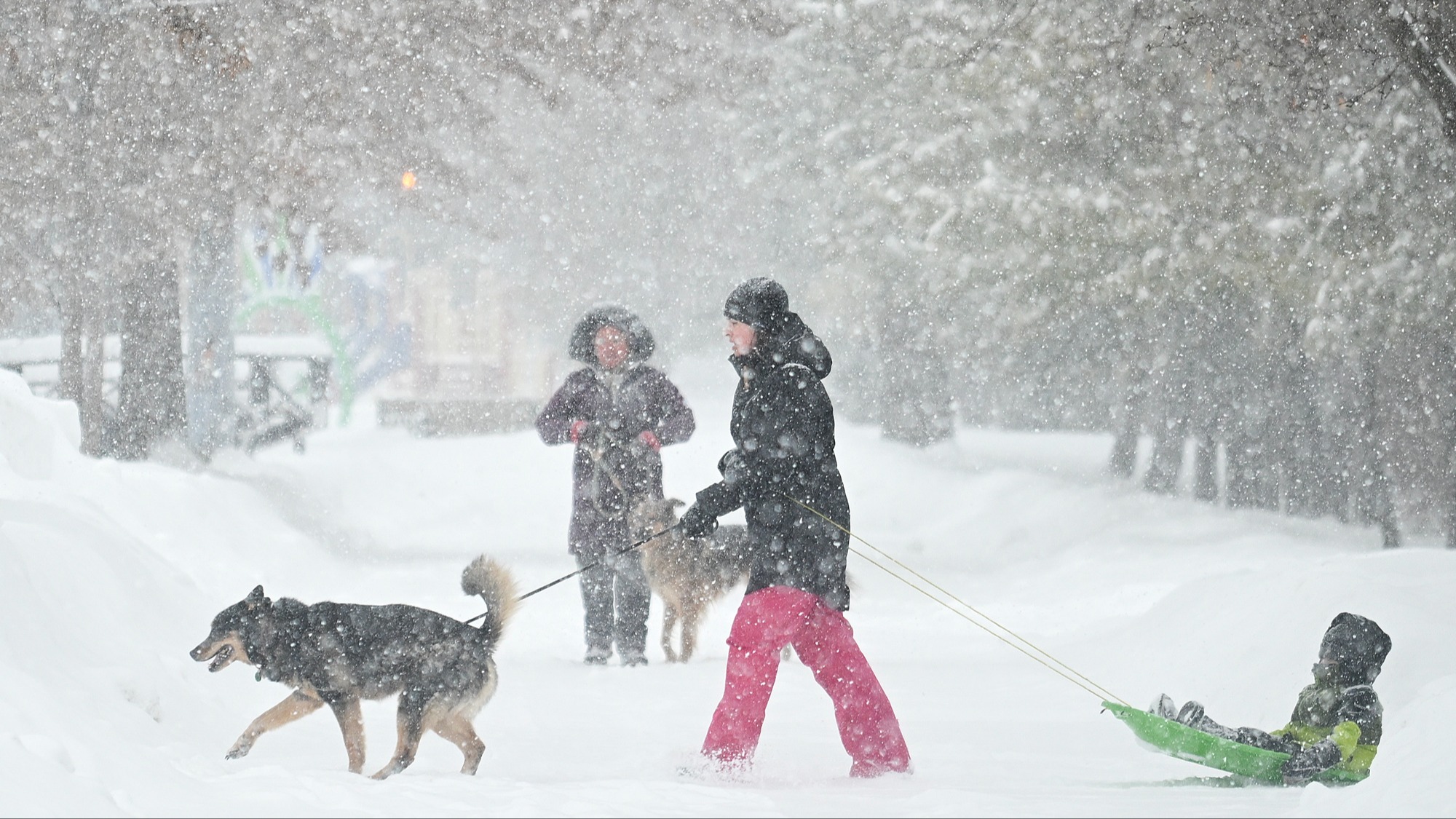 De 30 à 35 cm de neige à Montréal | Tempête de neige : quel est le ...