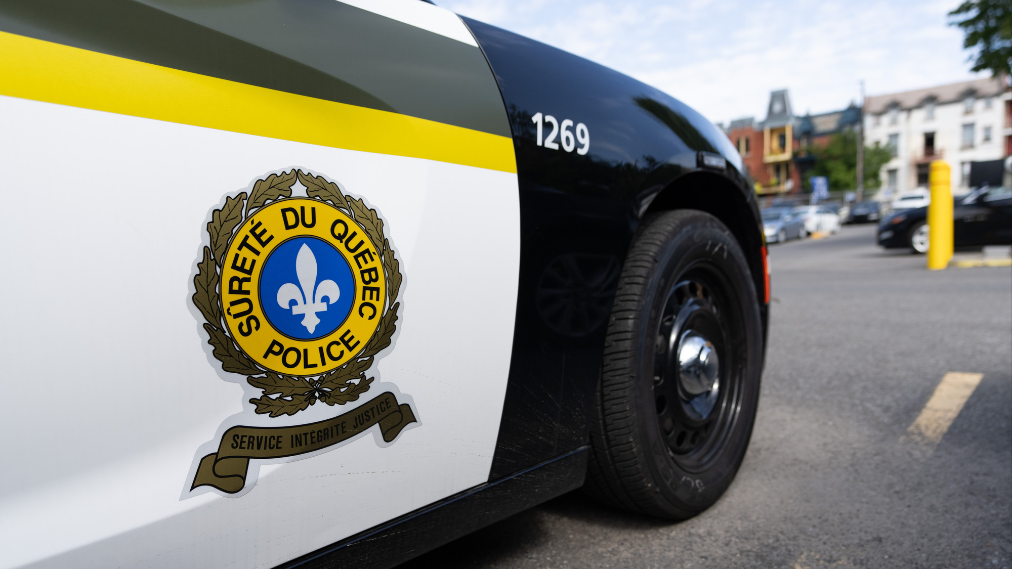 Cinq arrestations jusqu'à maintenant | Trafic d’armes et de stupéfiants ...