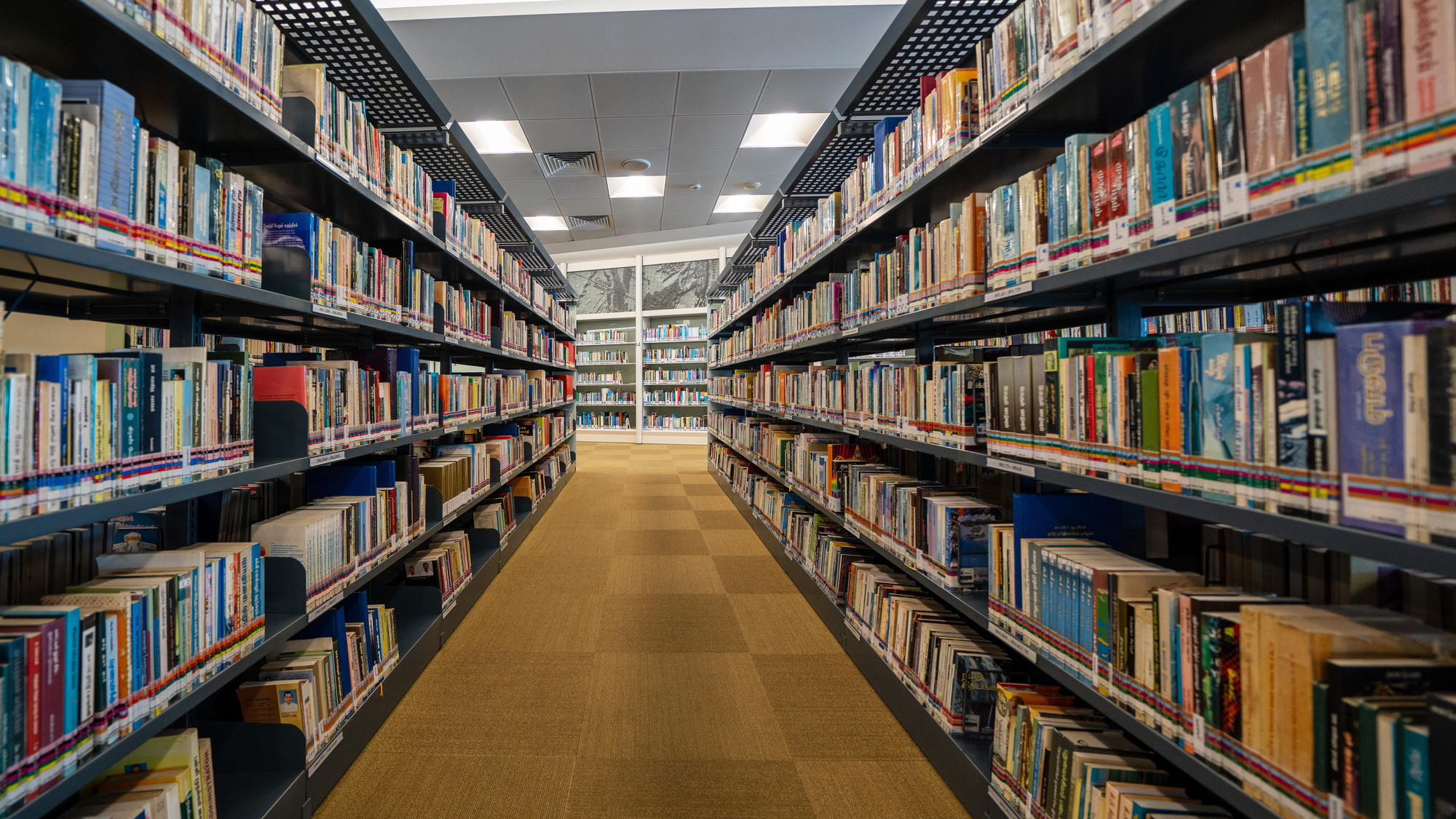 Éducation | Interdire des livres dans les écoles: «Quelque chose qu'on ...