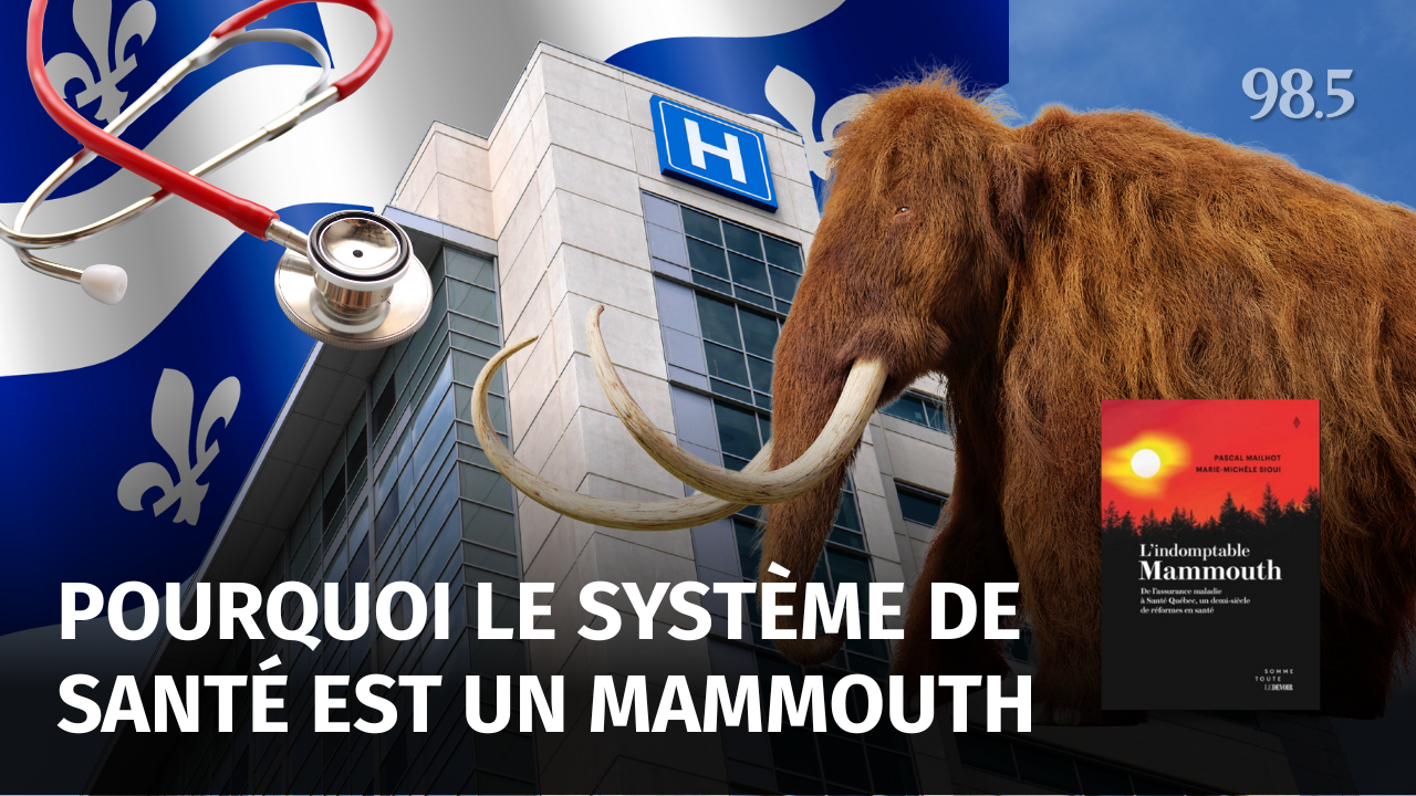 Le livre «L'indomptable Mammouth» | Réseau de la santé: «Le mammouth, c ...
