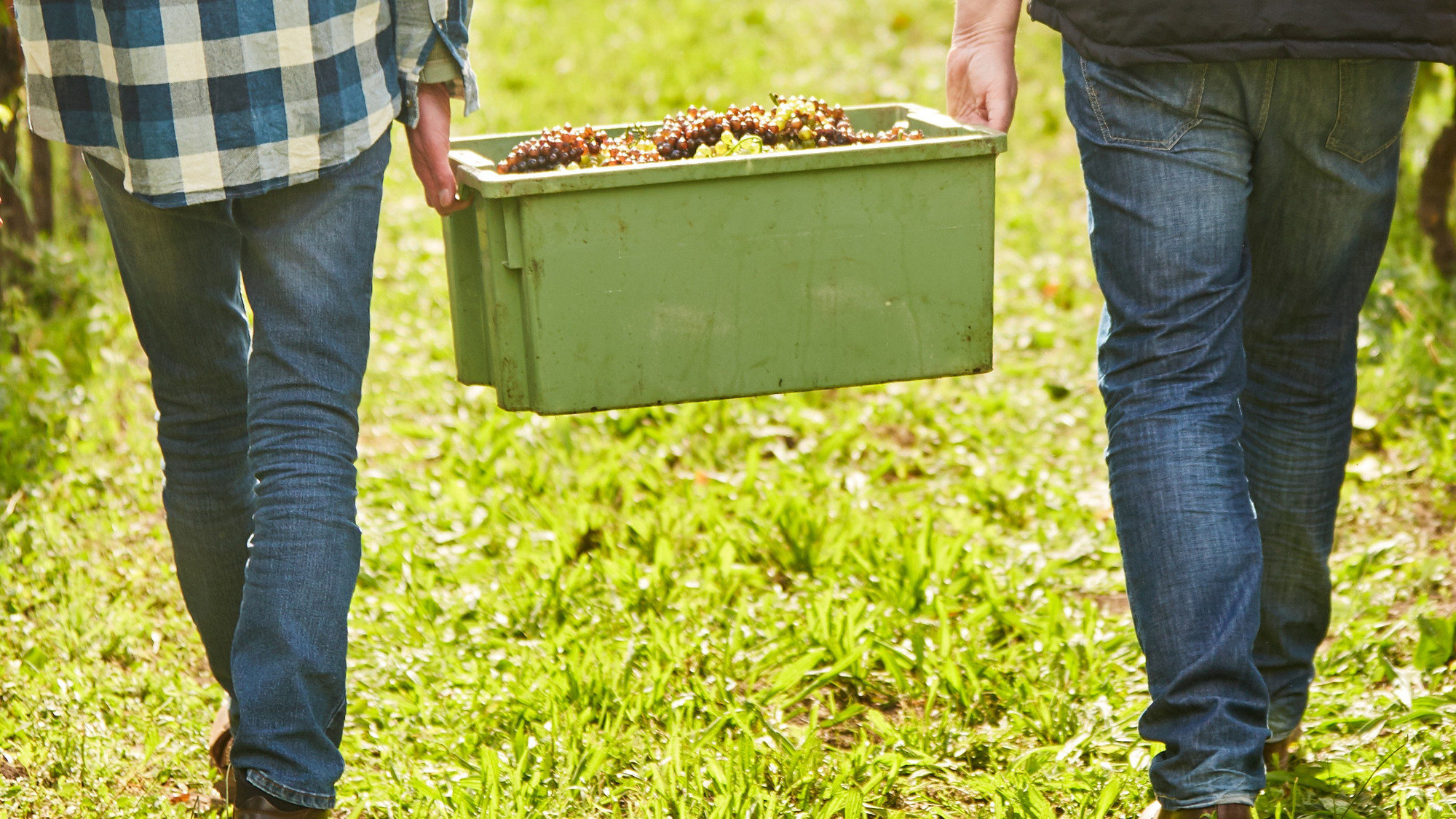 Des entreprises en colère poursuivent Ottawa | «La disponibilité de ...