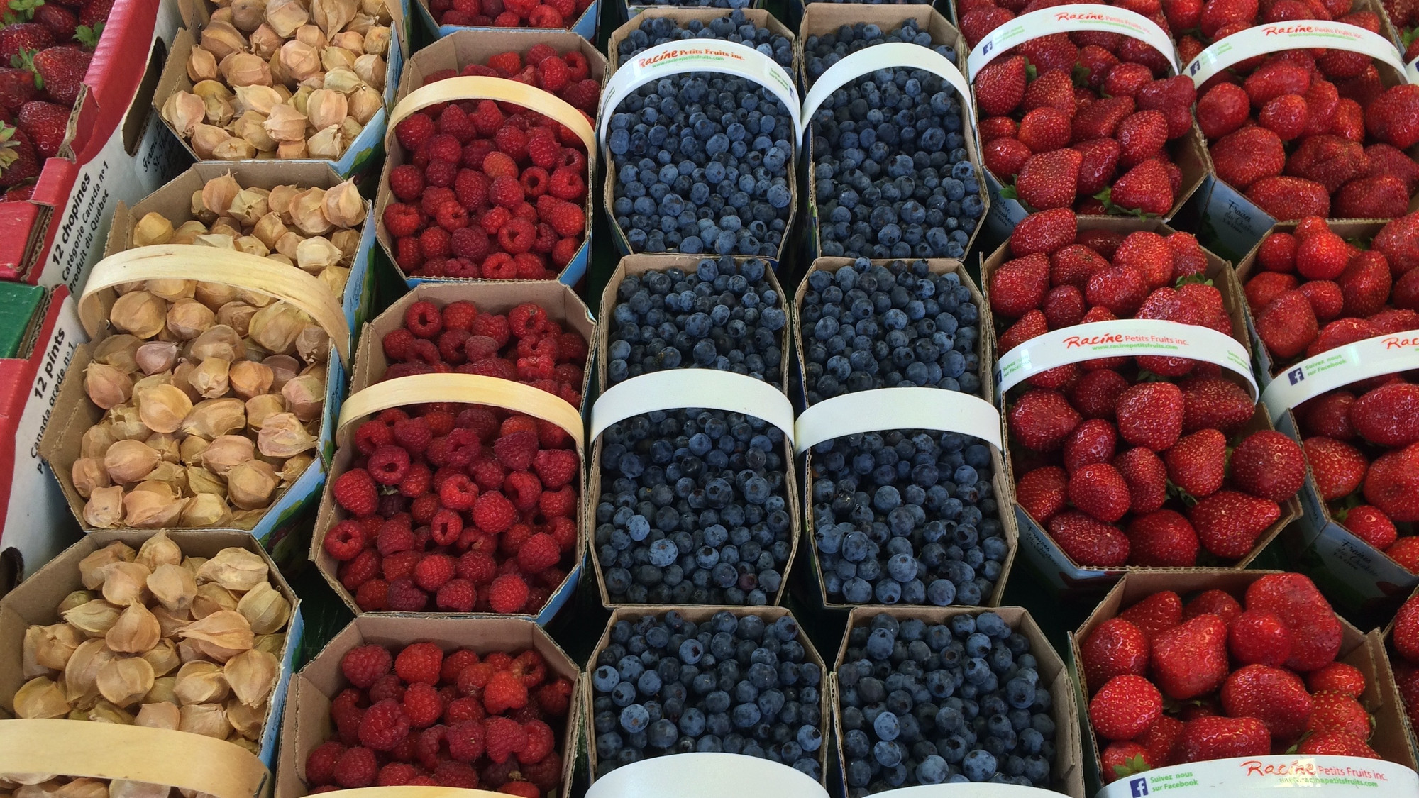 Fruits et légumes du Québec | Une bonne saison des récoltes malgré les ...