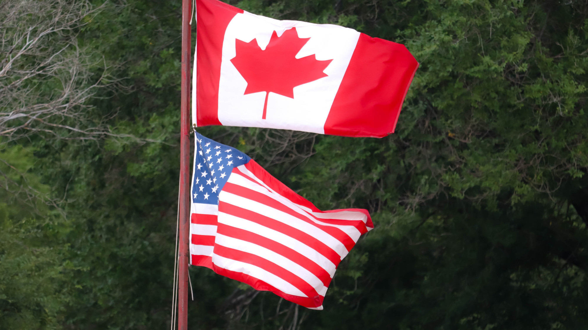 Mobilisation anti-Trump aux frontières | «S'unir pour dénoncer ce qui ...