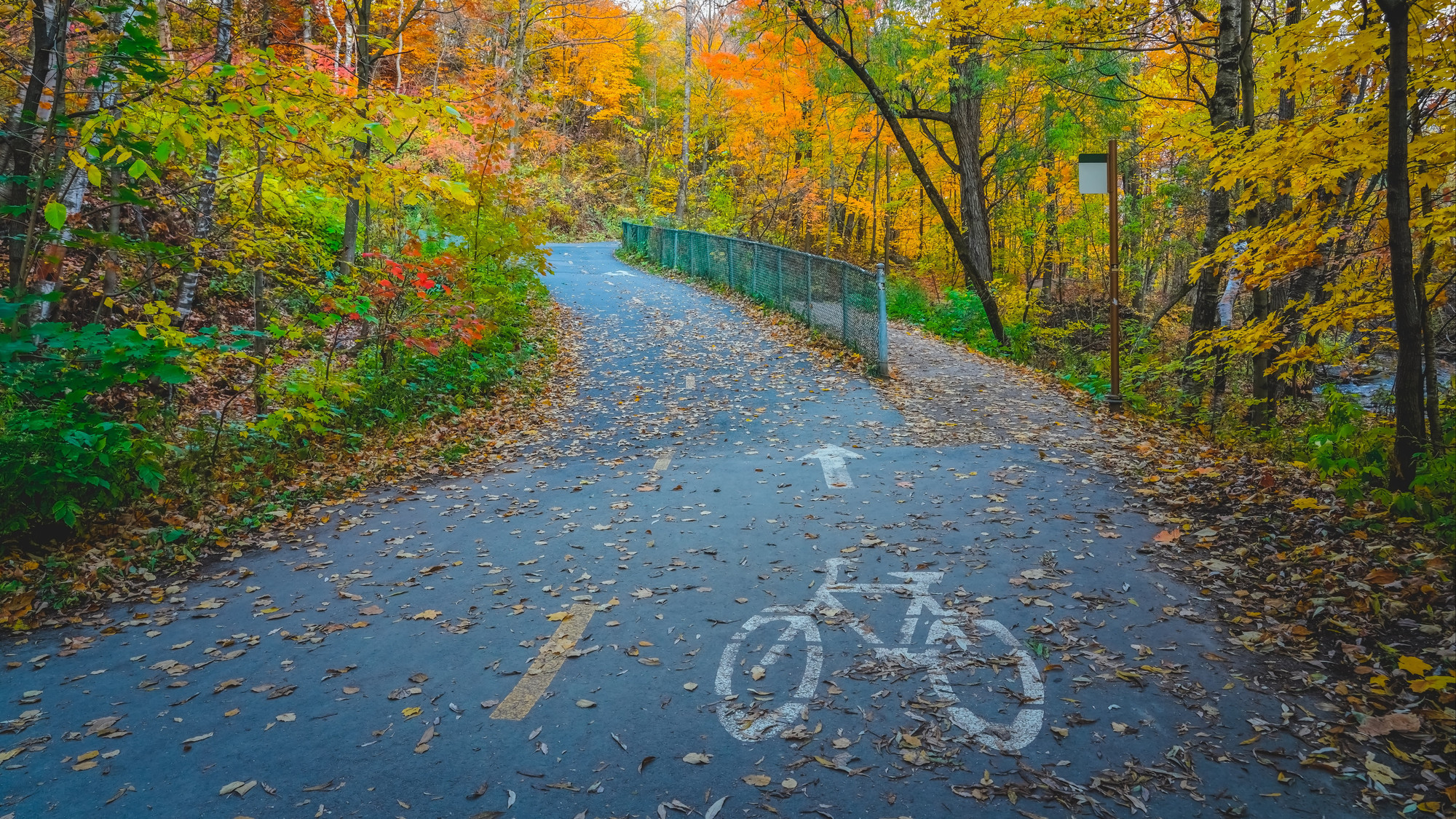 5000 km de voies cyclables | La Route verte du Québec célèbre son ...