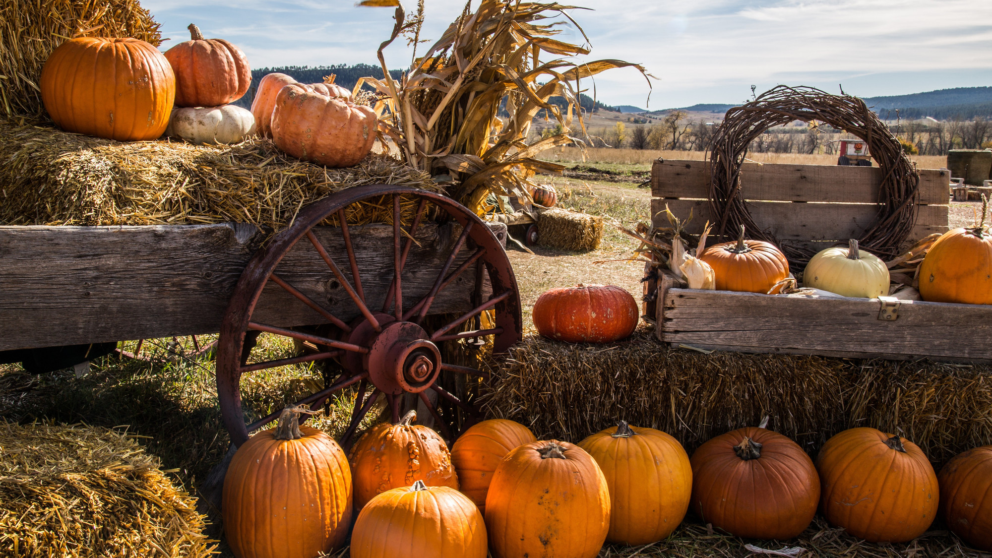 This Iconic Giant Pumpkin Village Is Back Near Montreal This Fall ...