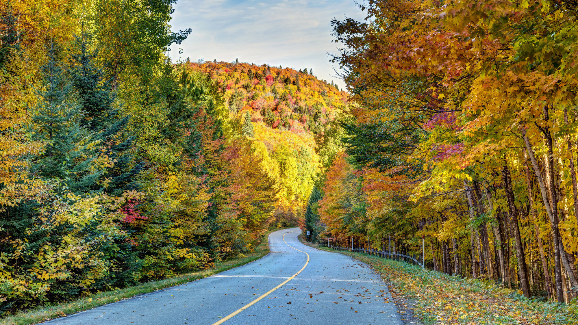 Track Fall Colours Across Quebec with This Interactive Map — The Beat 92.5