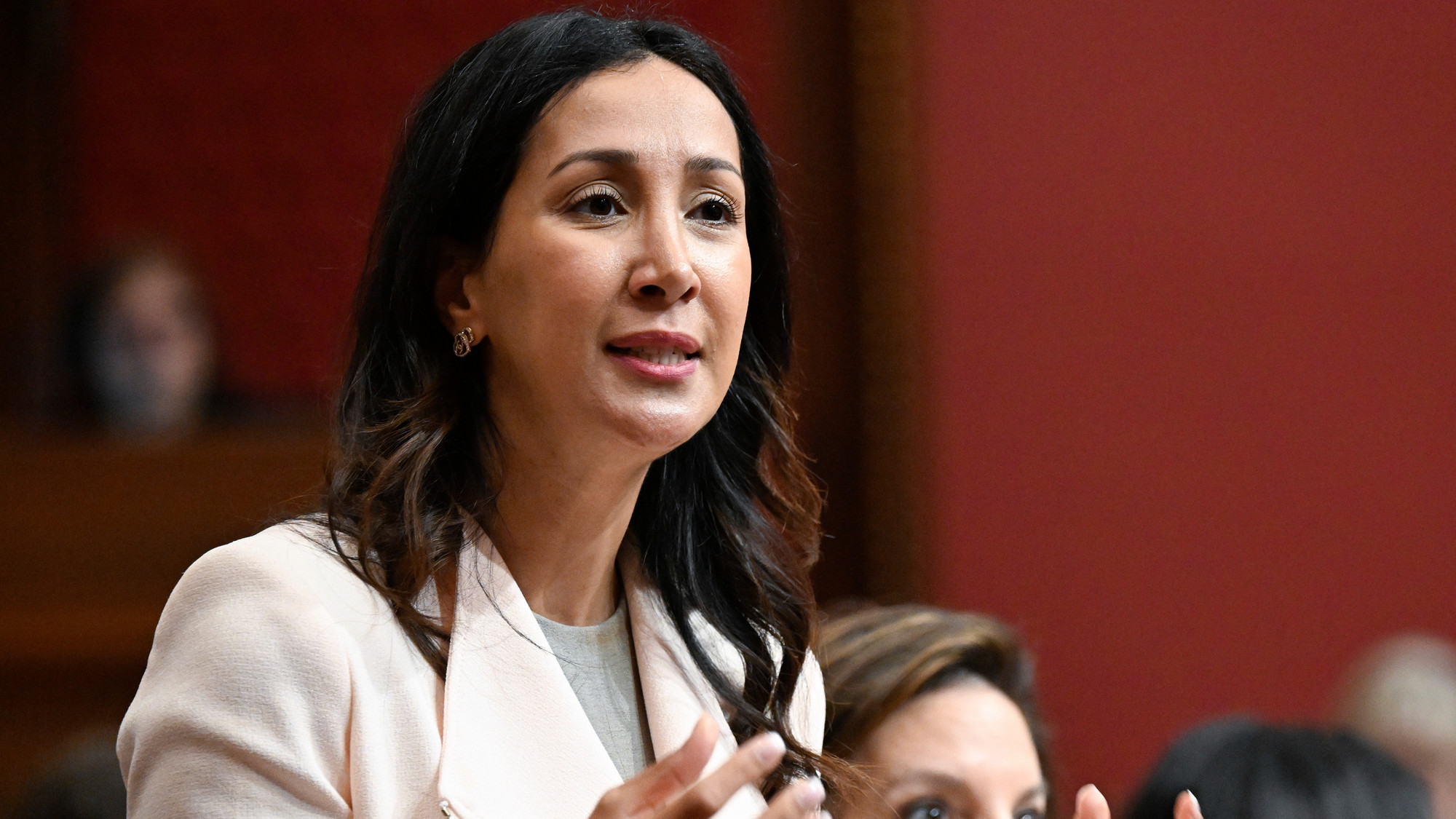 Parti libéral du Québec | Première crise pour Pablo Rodriguez: la députée Marwah Rizqy suspendue ...