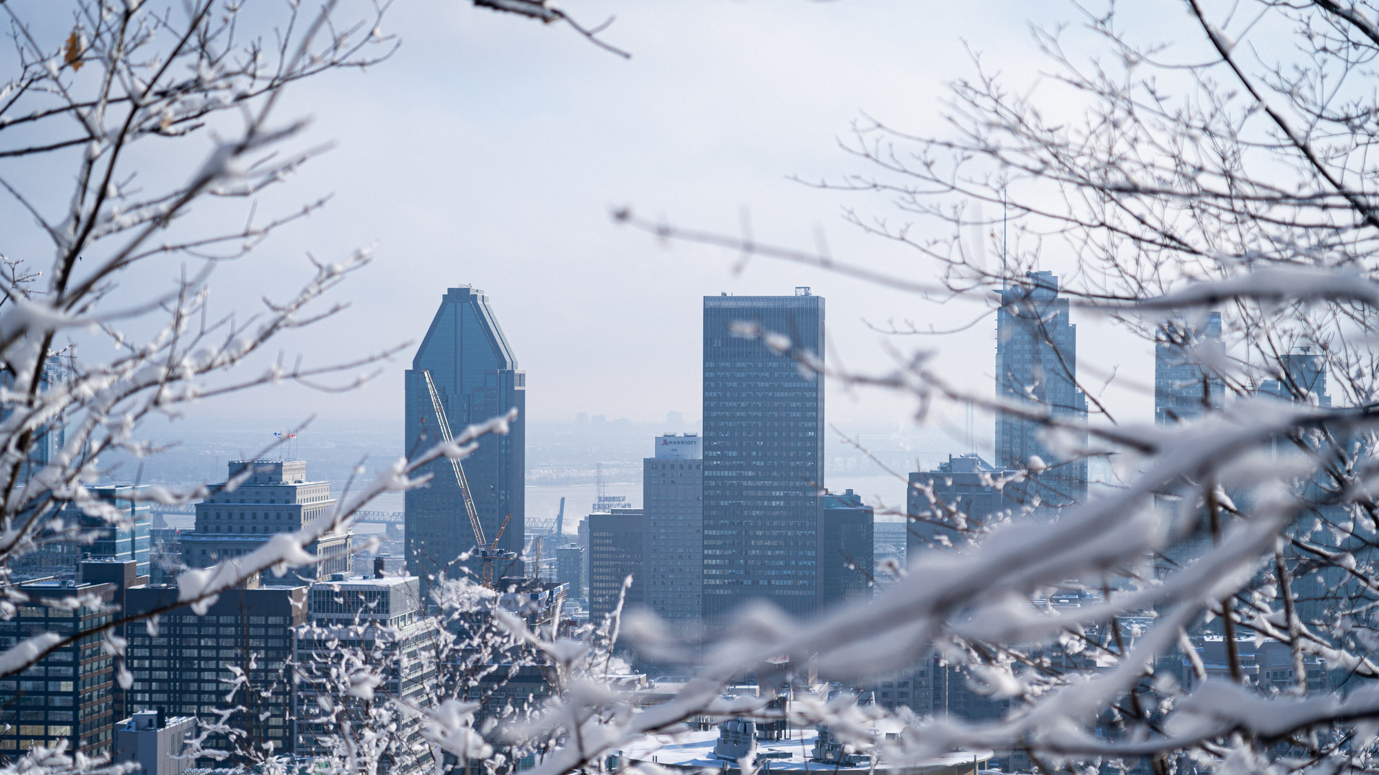 Refroidissement éolien de -35 | Météo Montréal: un froid intense suivi ...
